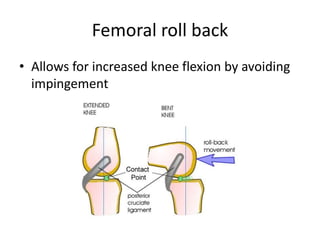 Biomechanics of the hip and knee joint | PPTX