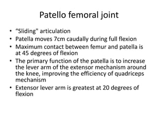 Biomechanics of the hip and knee joint | PPT