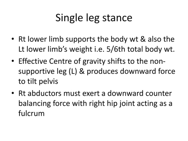 Biomechanics of the hip and knee joint | PPT