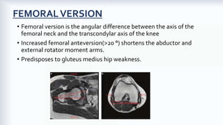 Biomechanics of the Hip Joint | PDF