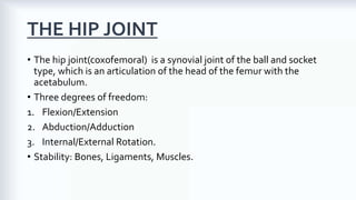 Biomechanics of the Hip Joint | PDF
