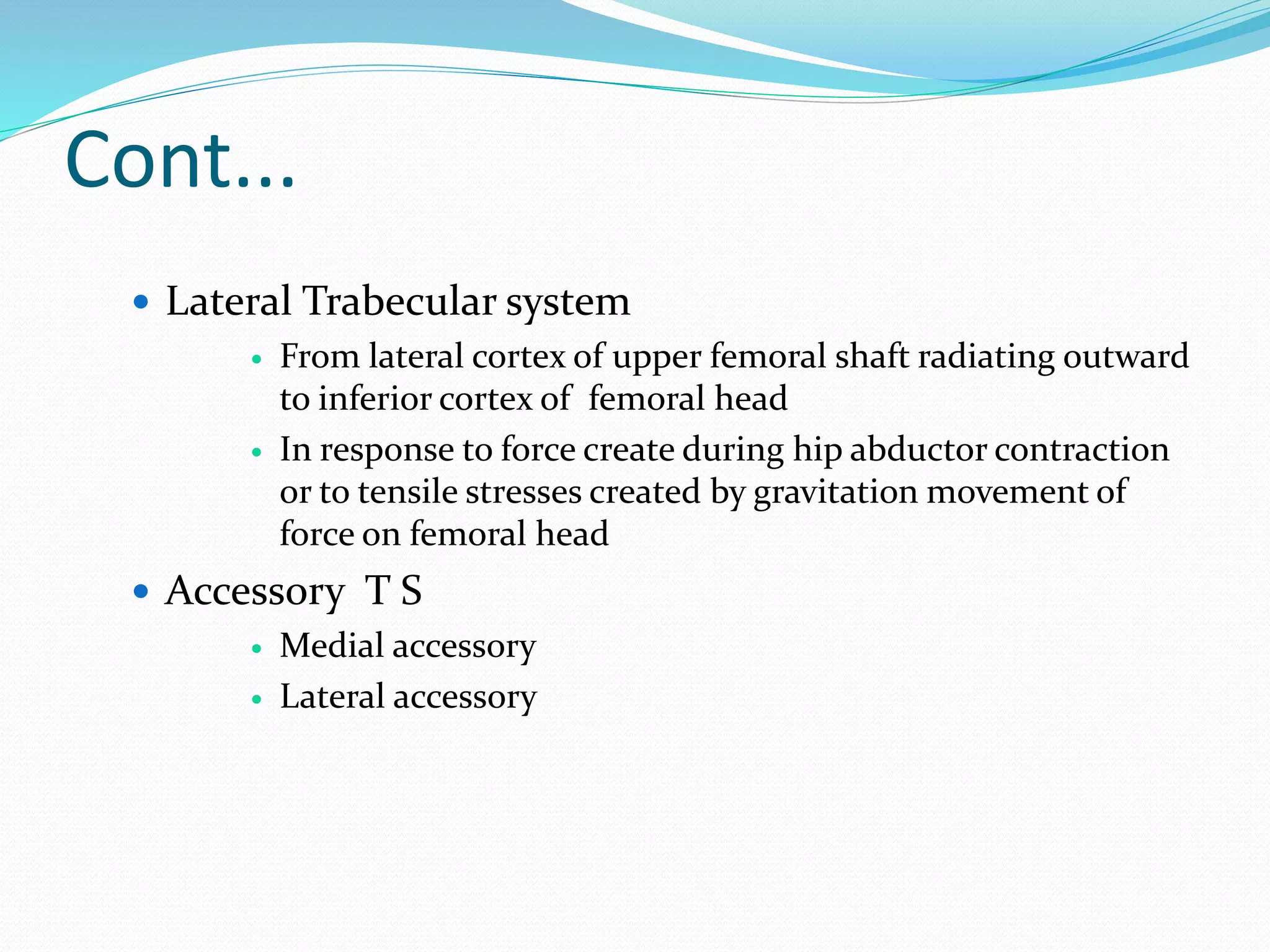 Bio-mechanics of the hip joint | PPTX