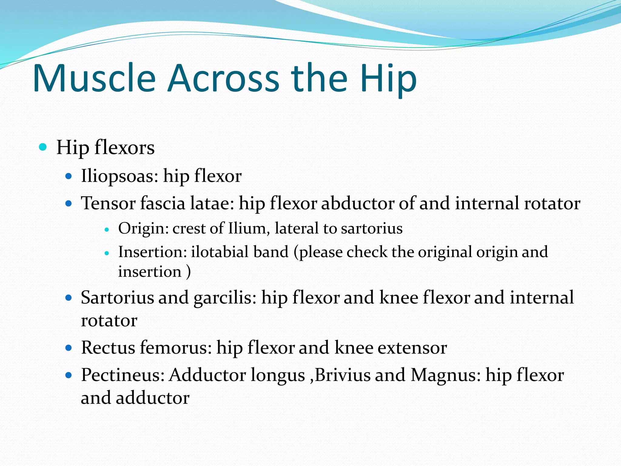 Bio-mechanics of the hip joint | PPTX