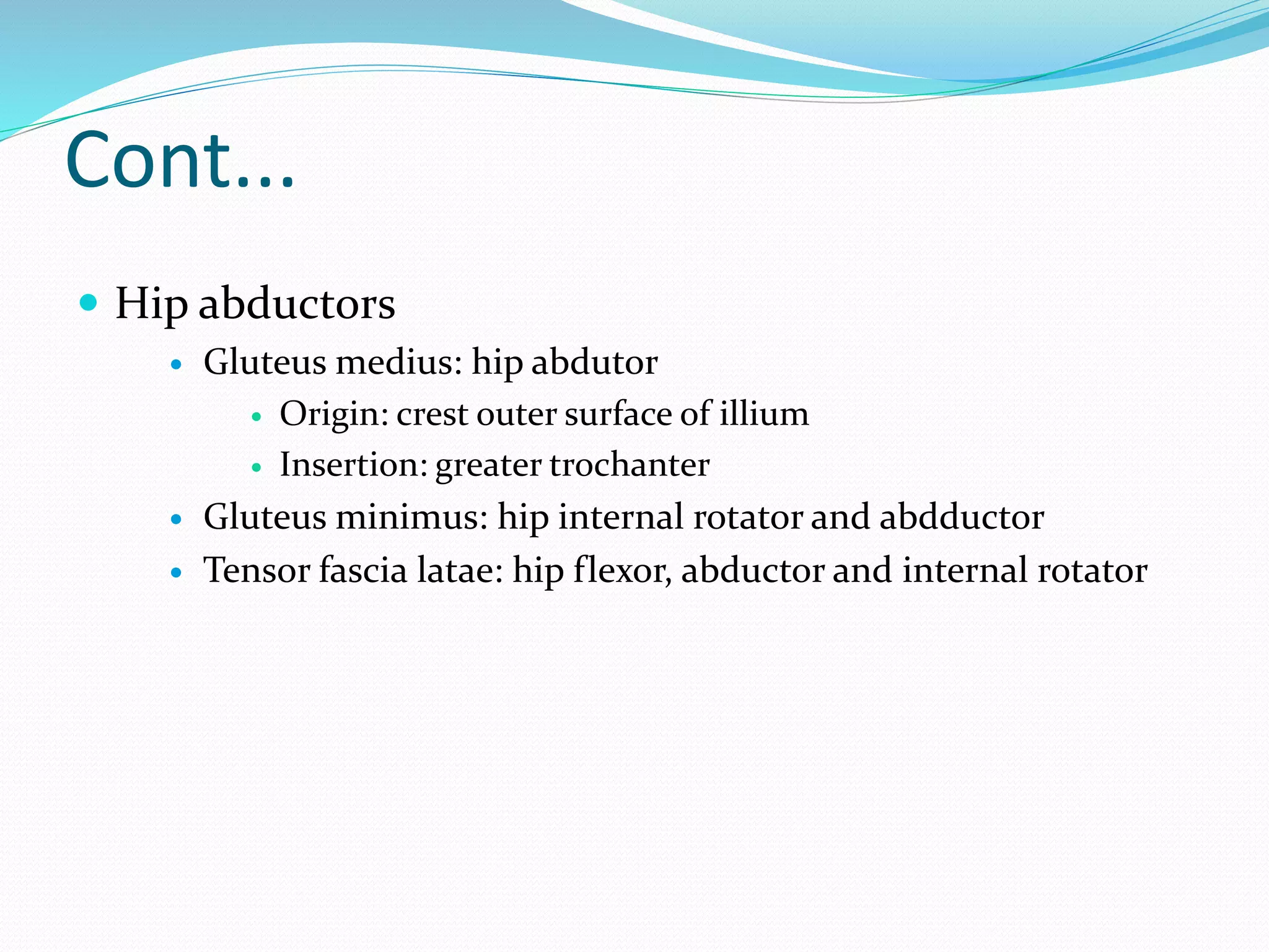 Bio-mechanics of the hip joint | PPTX