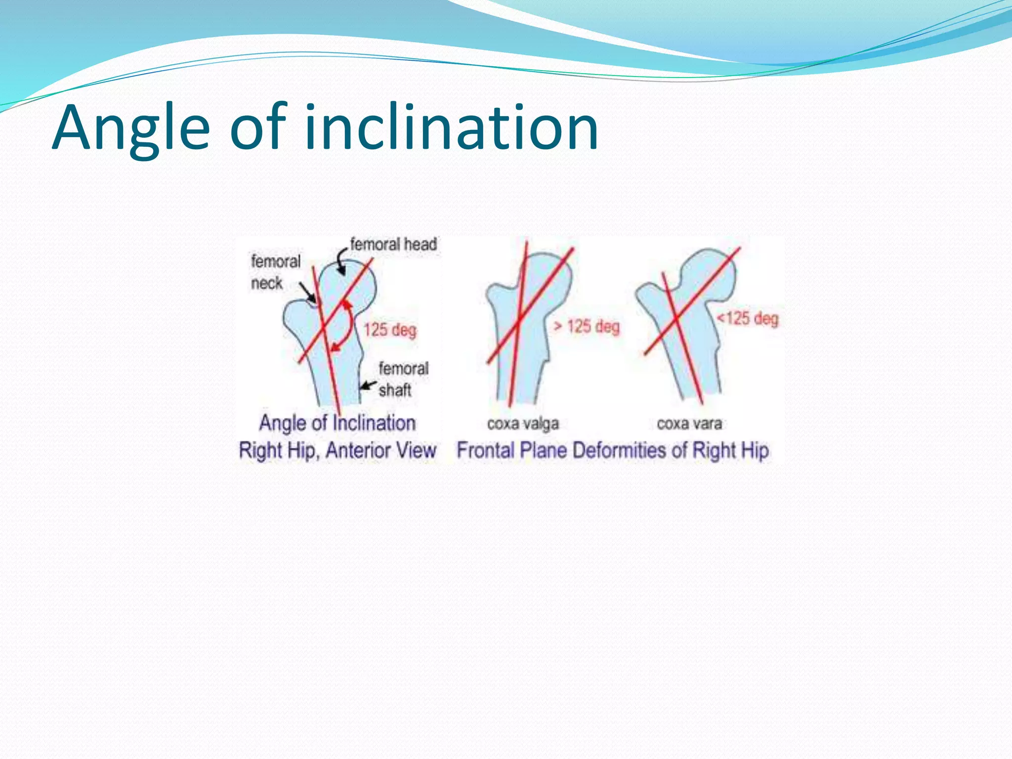 Bio-mechanics of the hip joint | PPTX