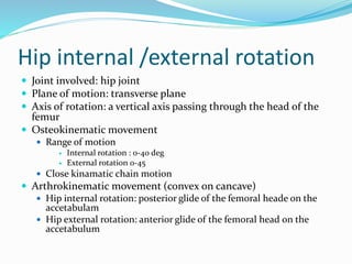 Bio-mechanics of the hip joint | PPTX