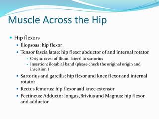 Bio-mechanics of the hip joint | PPTX