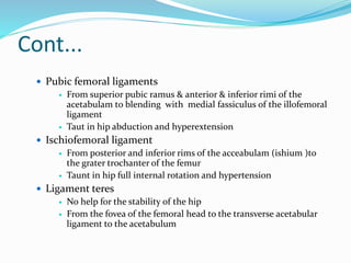 Bio-mechanics of the hip joint | PPTX