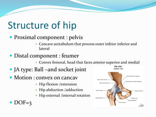Bio-mechanics of the hip joint | PPTX