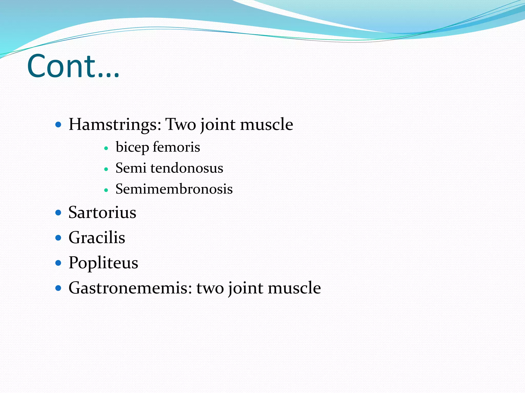 Biomechanics of the knee joint | PPTX