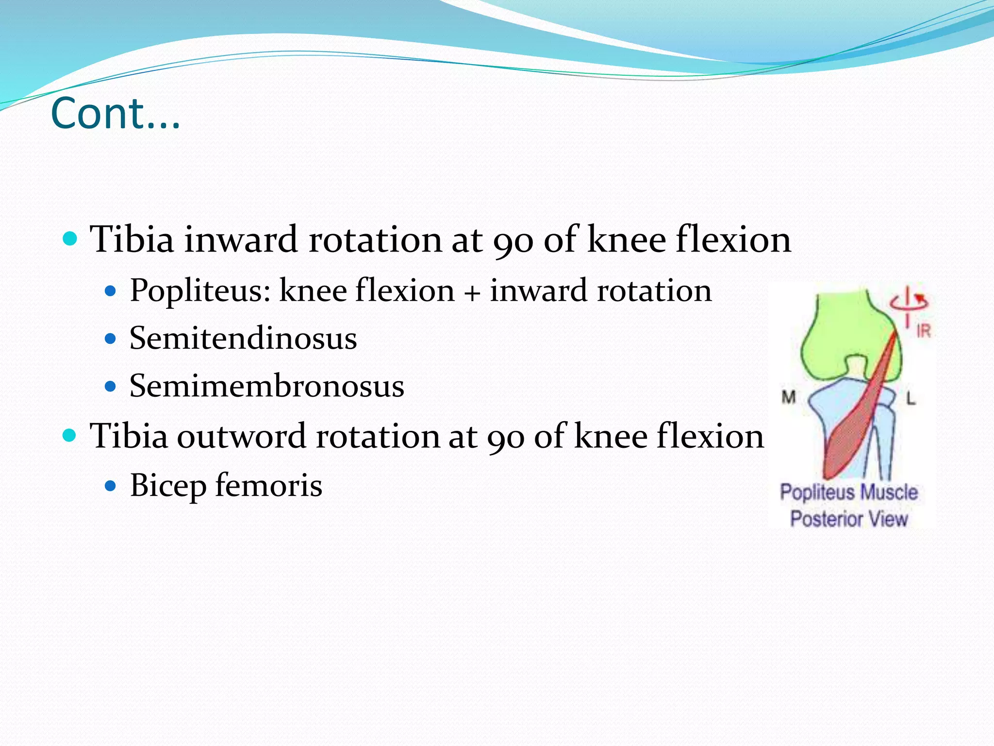 Biomechanics of the knee joint | PPTX
