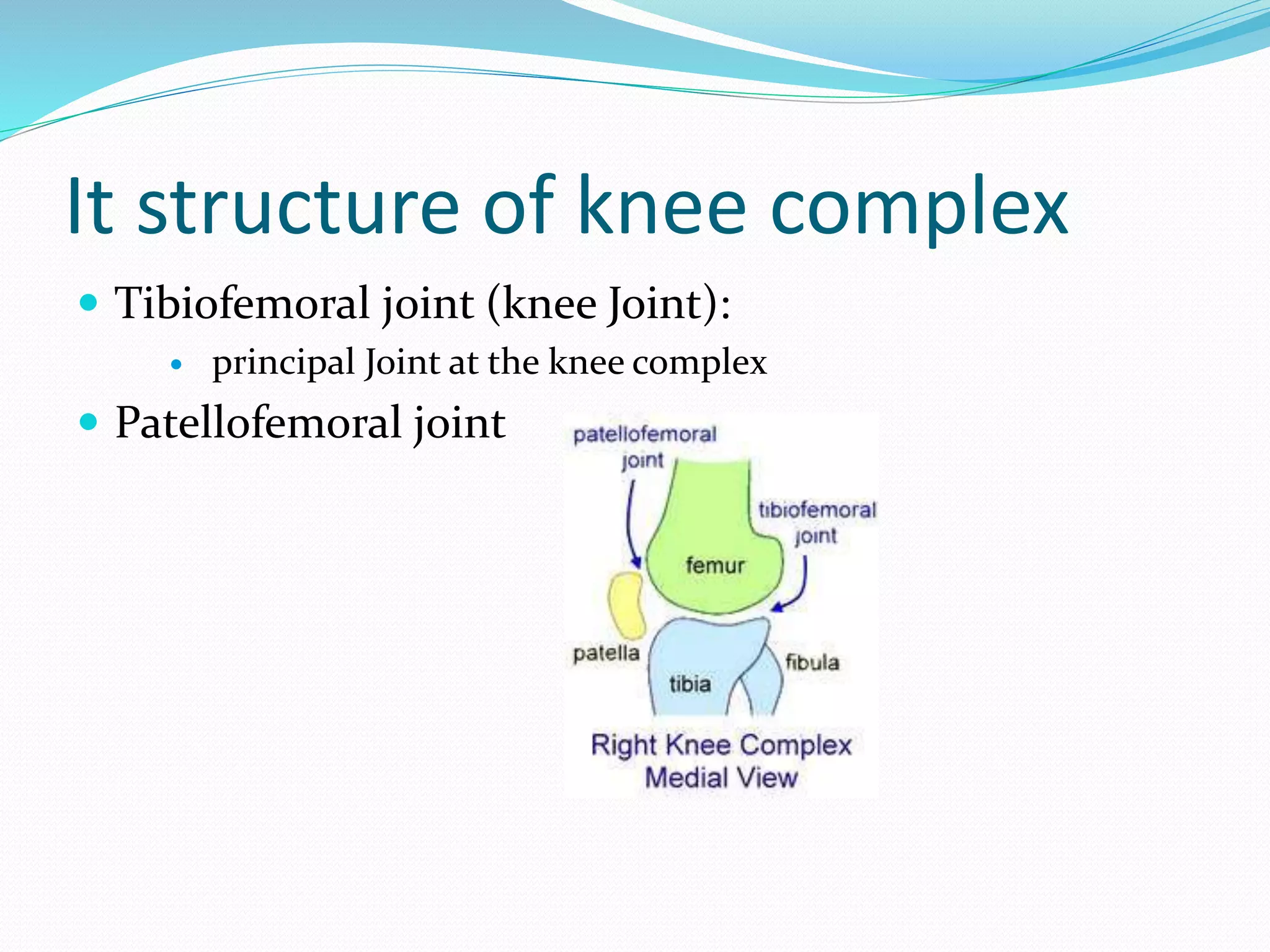 Biomechanics of the knee joint | PPTX