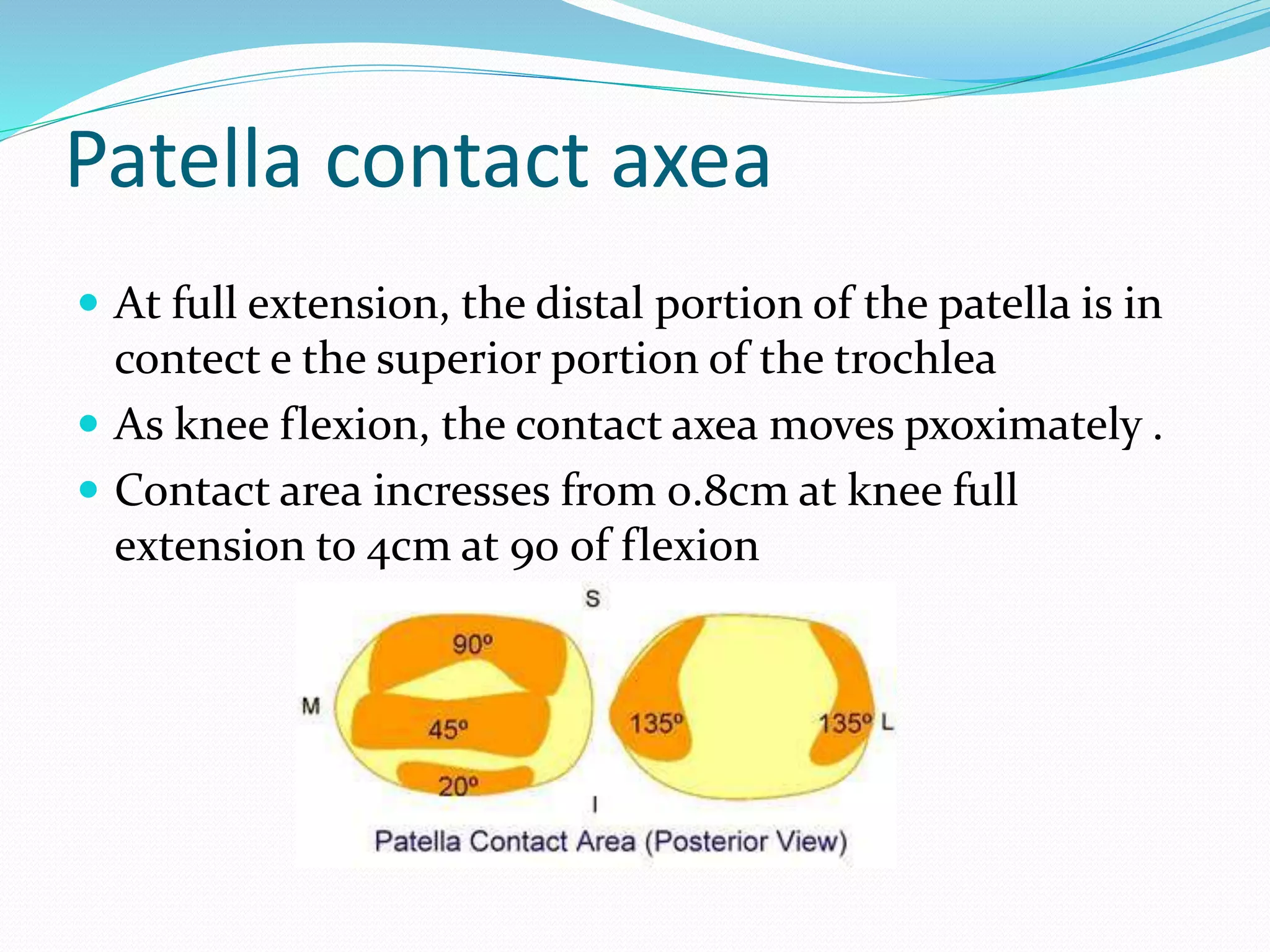 Biomechanics of the knee joint | PPTX
