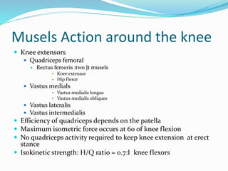 Biomechanics of the knee joint | PPTX