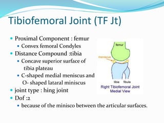 Biomechanics of the knee joint | PPTX