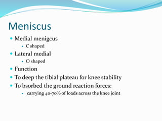 Biomechanics of the knee joint | PPTX