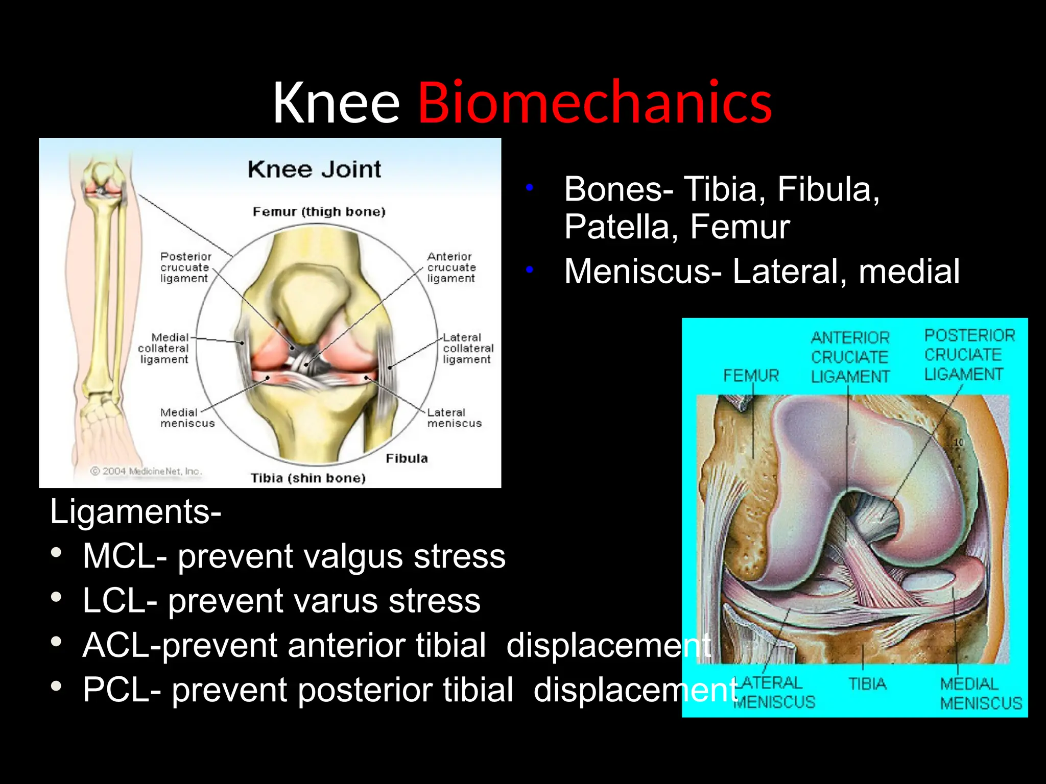 BIOMECHANICS OF THE KNEE JOINT.pptx and detailed information | PPT
