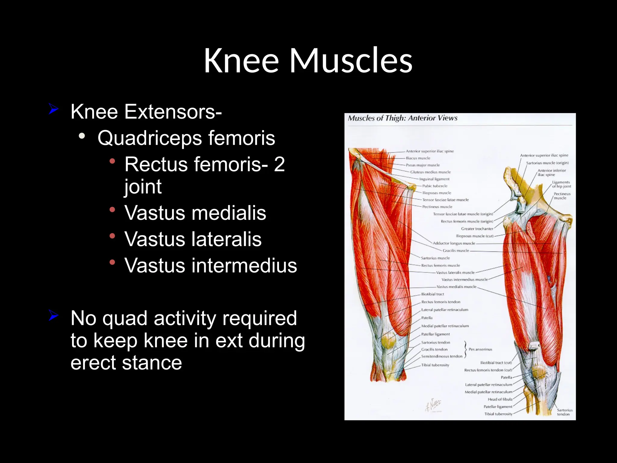BIOMECHANICS OF THE KNEE JOINT.pptx and detailed information | PPT