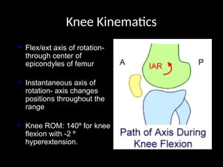 BIOMECHANICS OF THE KNEE JOINT.pptx and detailed information | PPT