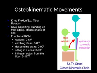 BIOMECHANICS OF THE KNEE JOINT.pptx and detailed information | PPT