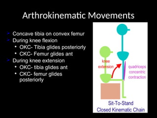 BIOMECHANICS OF THE KNEE JOINT.pptx and detailed information | PPT