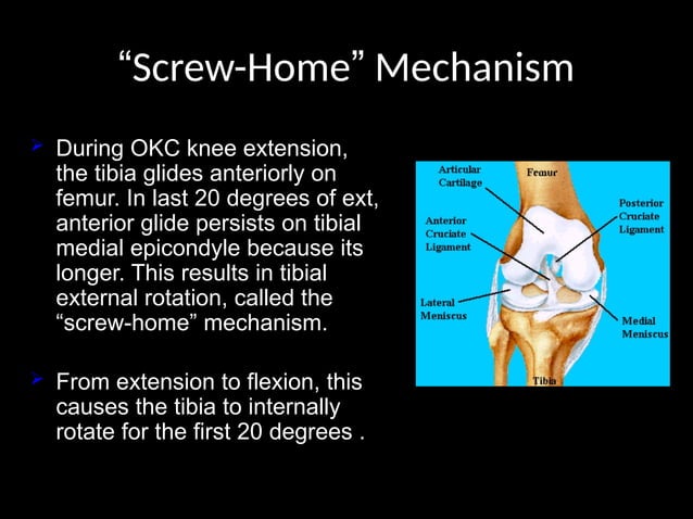BIOMECHANICS OF THE KNEE JOINT.pptx and detailed information | PPT