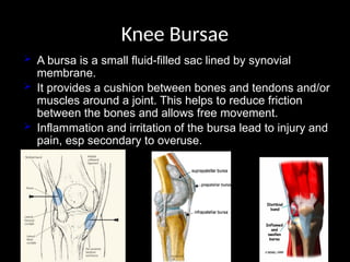BIOMECHANICS OF THE KNEE JOINT.pptx and detailed information | PPT