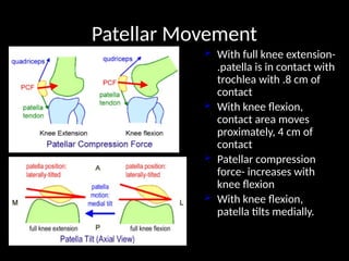 BIOMECHANICS OF THE KNEE JOINT.pptx and detailed information | PPT