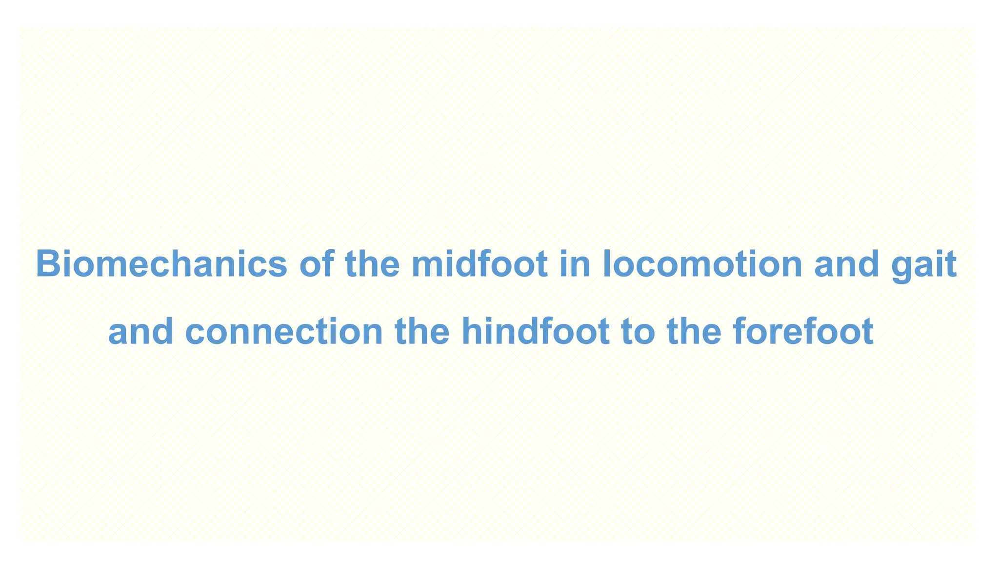 Biomechanics of the midfoot in locomotion and gait and connection the ...