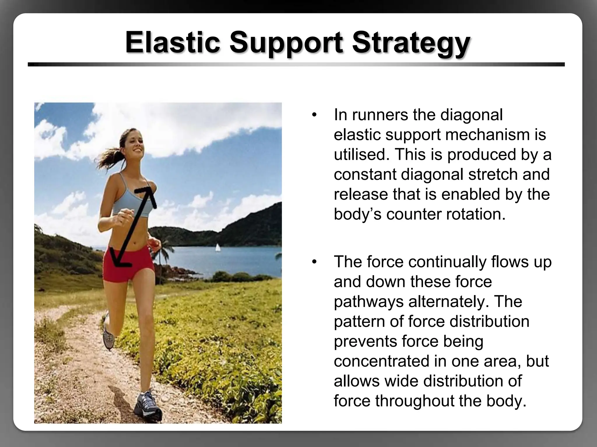 Biomechanics of the running gait.ppt