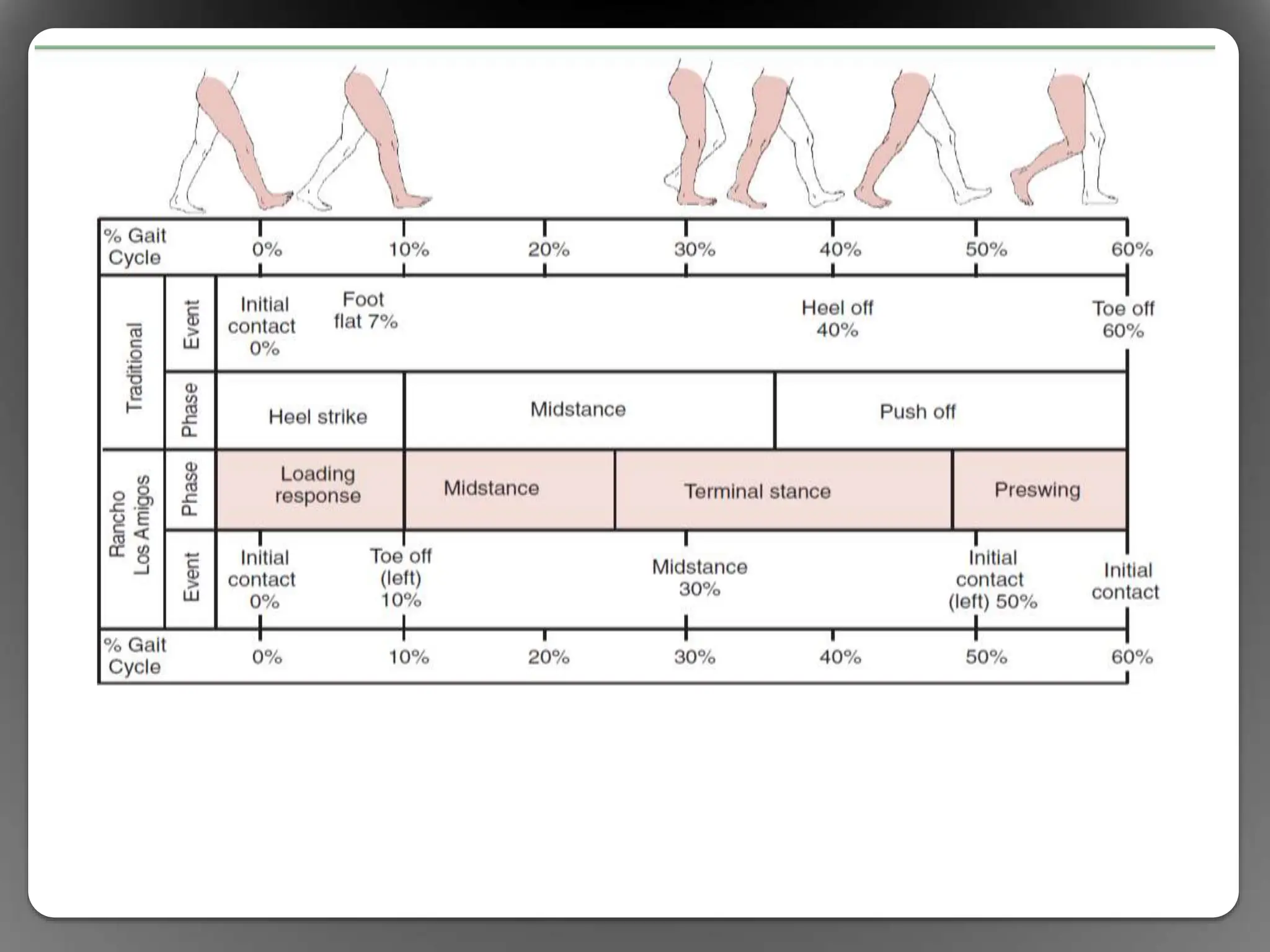 Biomechanics of the running gait.ppt