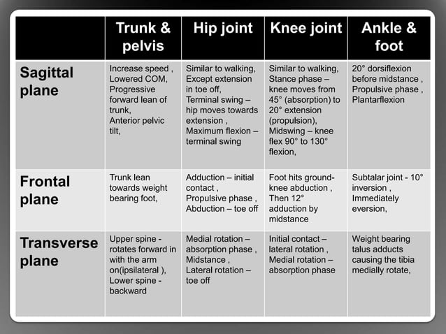 Biomechanics of the running gait.ppt | Cycling | Sports