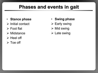 Biomechanics of the running gait.ppt