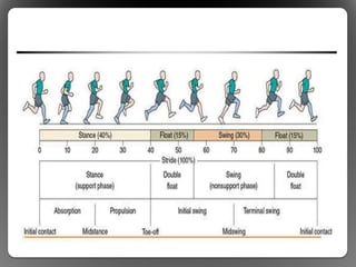 Biomechanics of the running gait.ppt