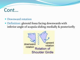 Biomechanics of the shoulder | PPTX