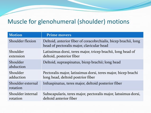 Biomechanics of the shoulder | PPTX | Death, Injury, or Military ...