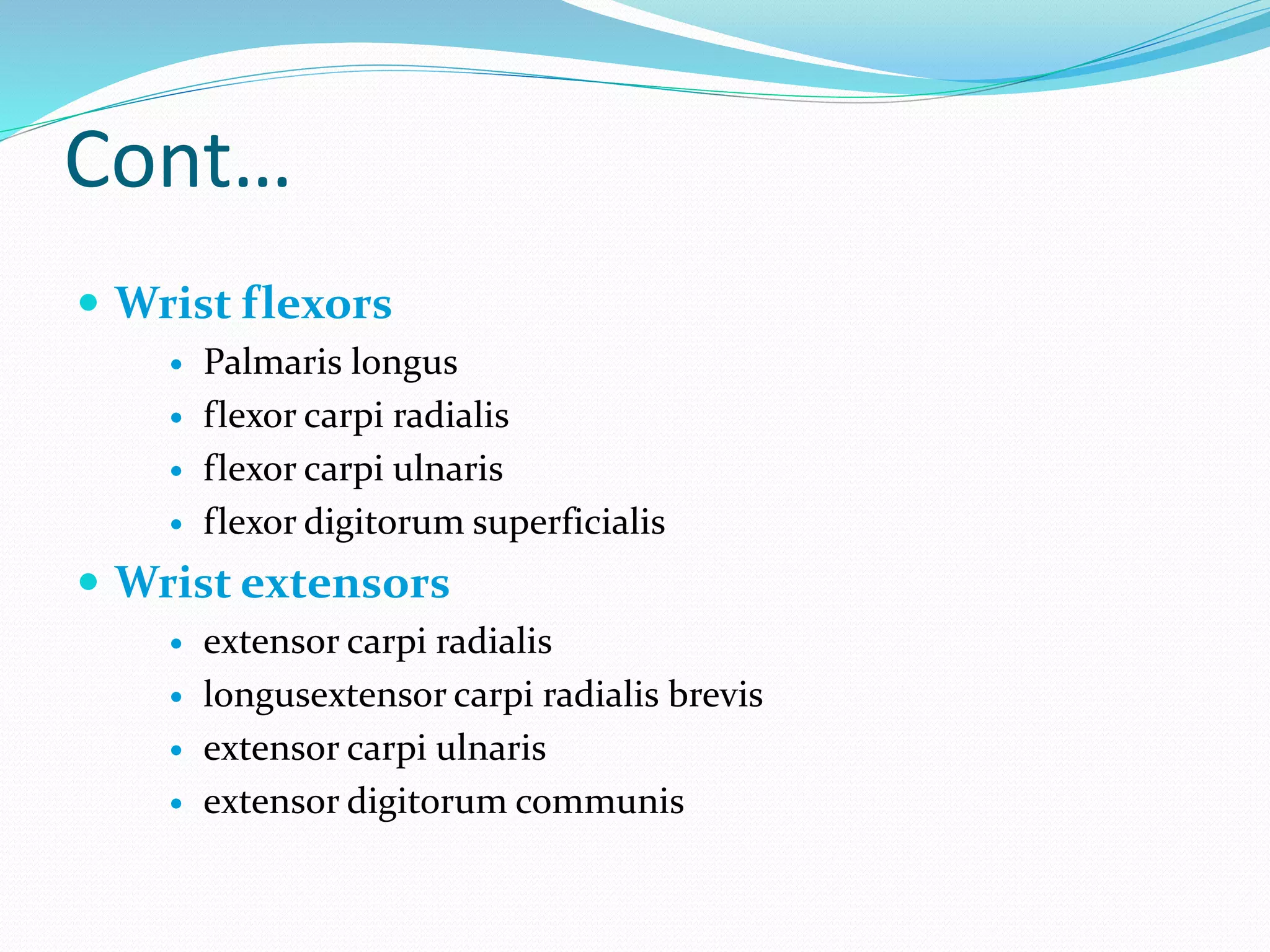 Bio-mechanics of the wrist joint | PPTX