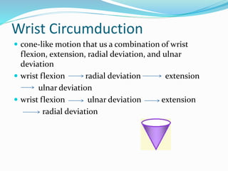 Bio-mechanics of the wrist joint | PPTX