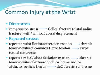 Bio-mechanics of the wrist joint | PPTX
