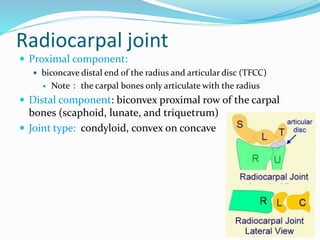 Bio-mechanics of the wrist joint | PPTX