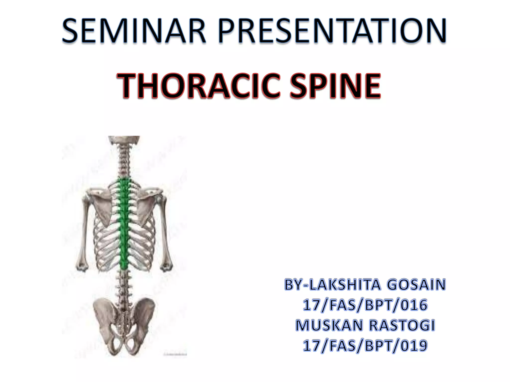Biomechanics of thoracic spine ppt | PPT