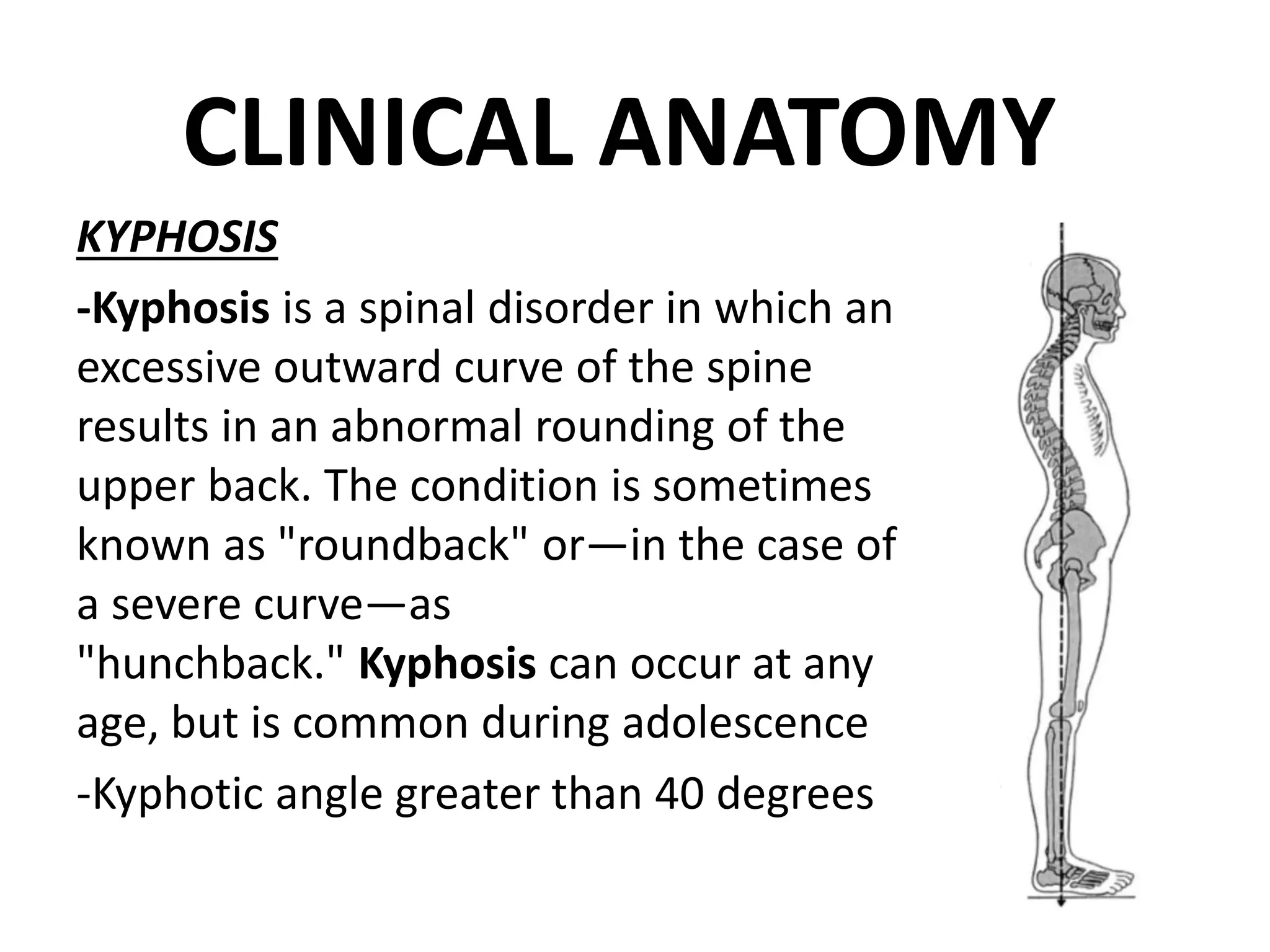 Biomechanics of thoracic spine ppt @Dr.Muskan Rastogi (PT) BPT,MPT(OBG ...