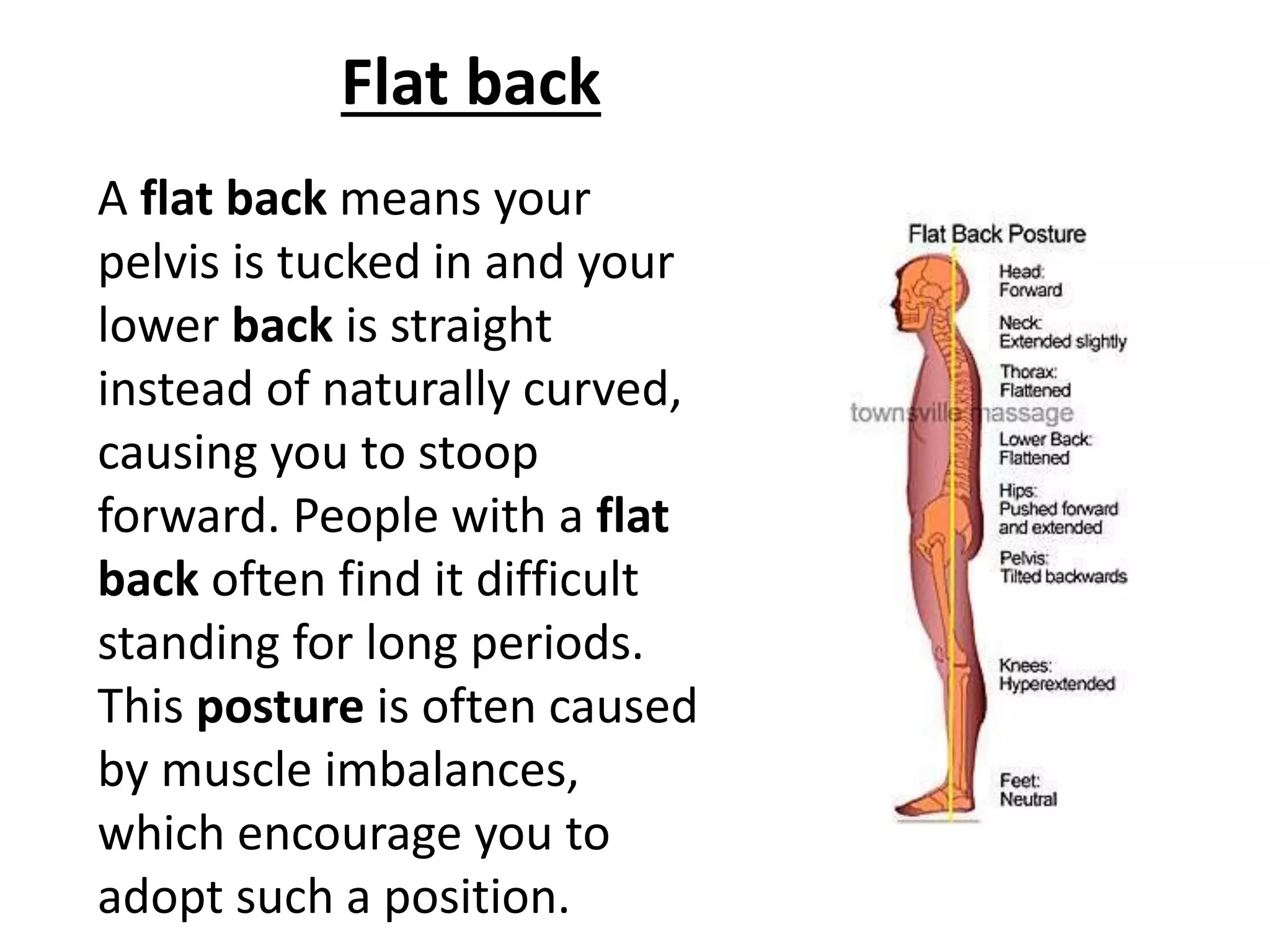 Biomechanics of thoracic spine ppt @Dr.Muskan Rastogi (PT) BPT,MPT(OBG ...