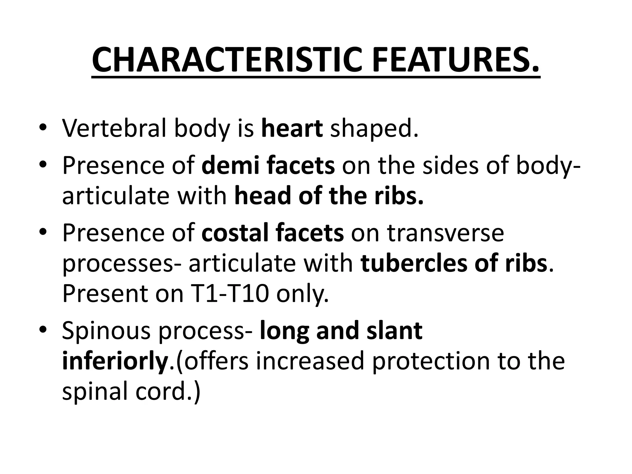 Biomechanics of thoracic spine ppt @Dr.Muskan Rastogi (PT) BPT,MPT(OBG ...
