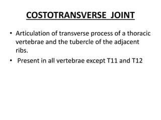 Biomechanics of thoracic spine ppt | PPT