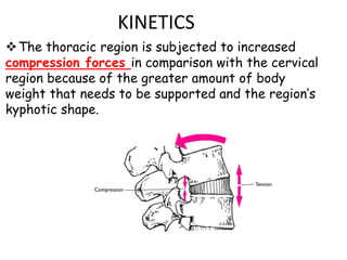 Biomechanics of thoracic spine ppt | PPT