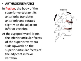 Biomechanics of thoracic spine ppt | PPT