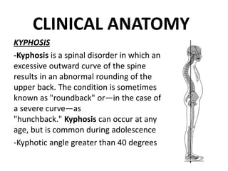 Biomechanics of thoracic spine ppt @Dr.Muskan Rastogi (PT) BPT,MPT(OBG ...