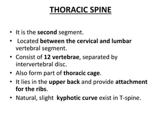 Biomechanics of thoracic spine ppt @Dr.Muskan Rastogi (PT) BPT,MPT(OBG ...