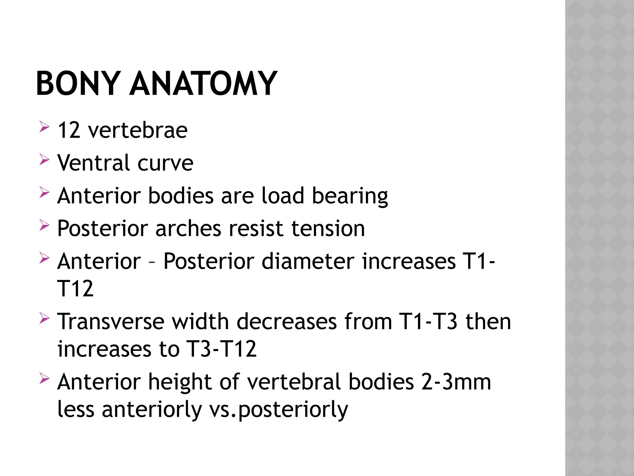 BIOMECHANICS OF THE THORACIC SPINE . pptx | PPTX